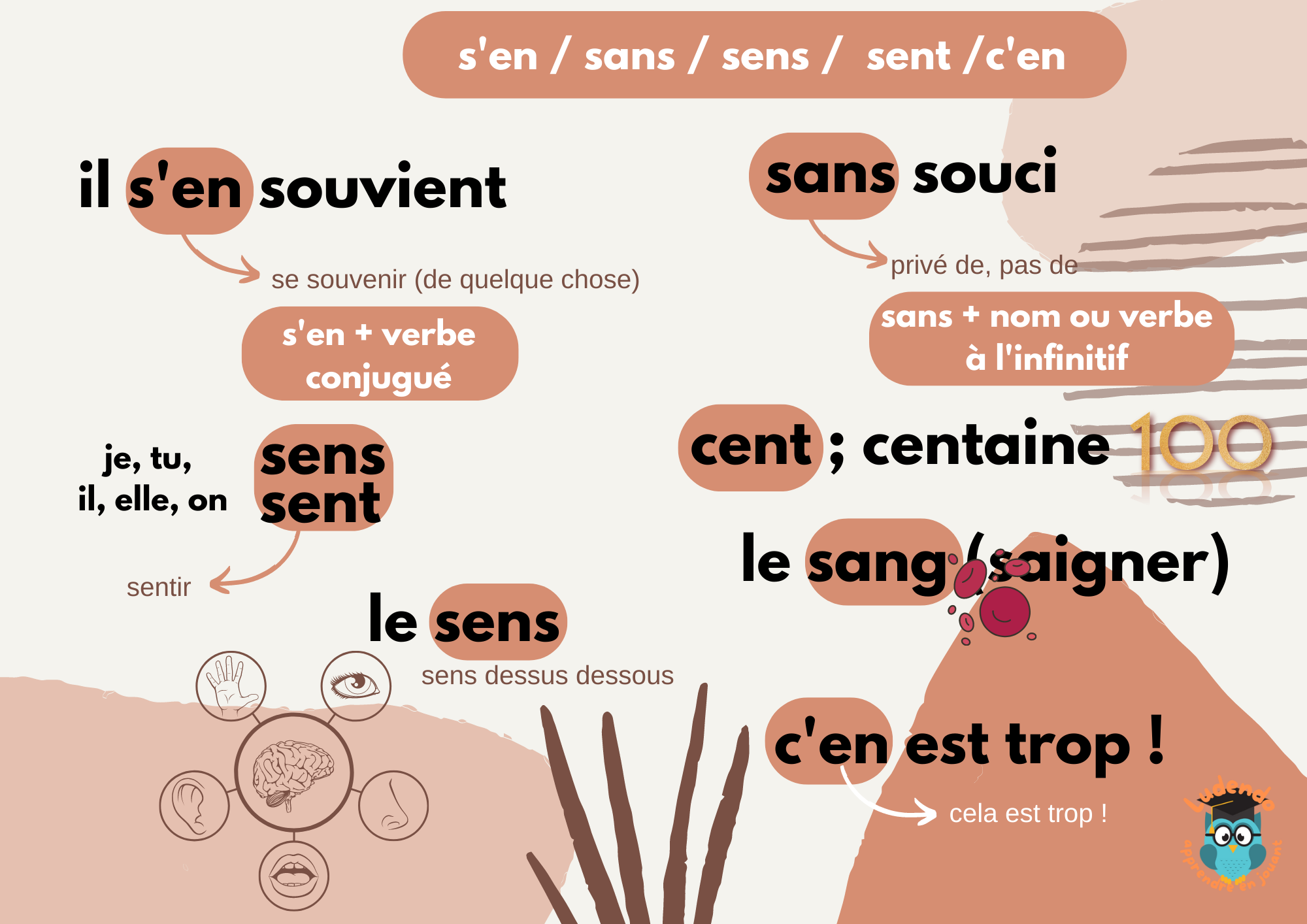 Infographies sur les difficultés orthographiques – Association Ludendo
