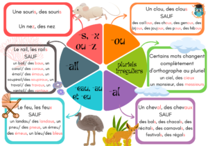 Affichage pluriels irréguliers – Association Ludendo